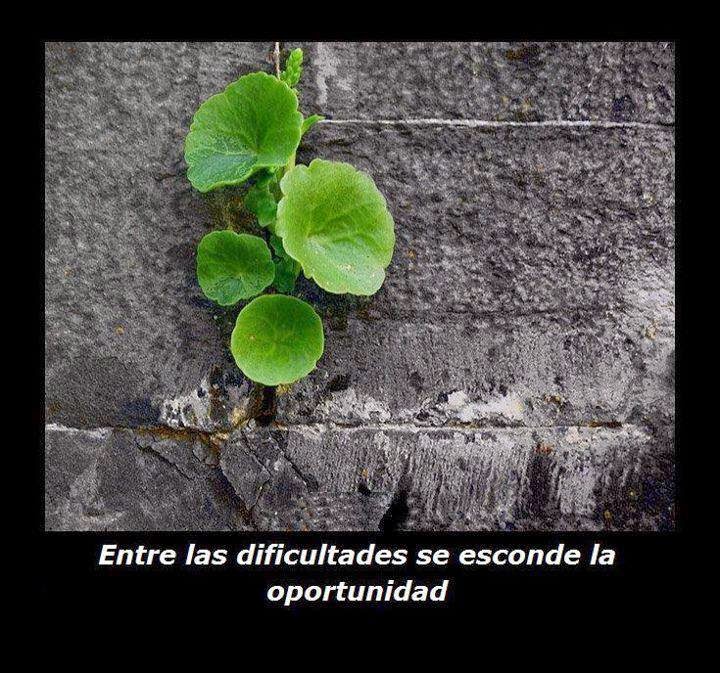 Frases con imágenes : Entre las dificultades se esconde la oportunidad Frases con imágenes : Entre las dificultades se esconde la oportunidad