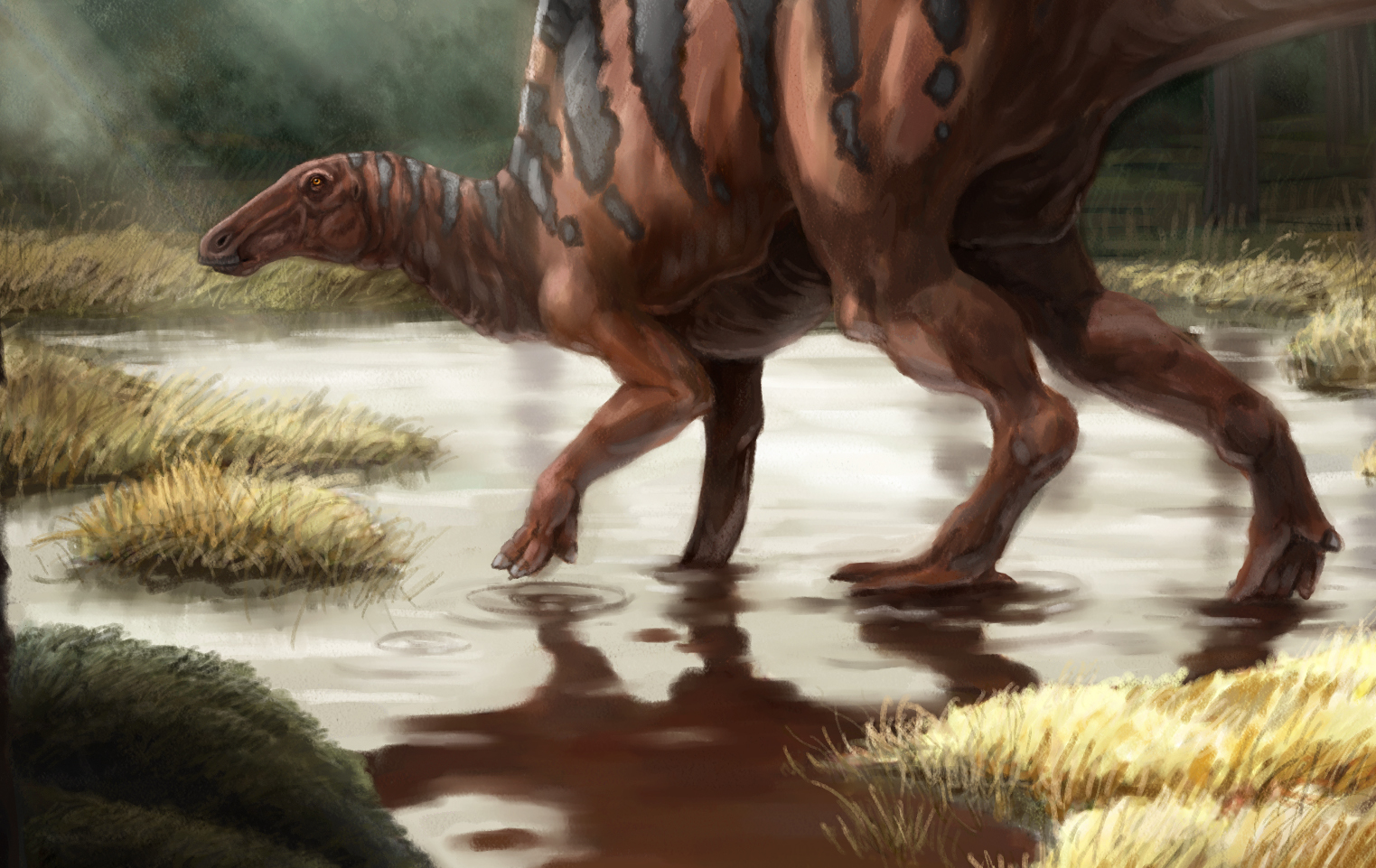 Søren Tim Nordbo Illustration: Irma og mayasaurus i smålandsk skov