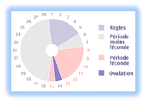 Controlar saltar patio de recreo le cycle des regles chez la femme ...