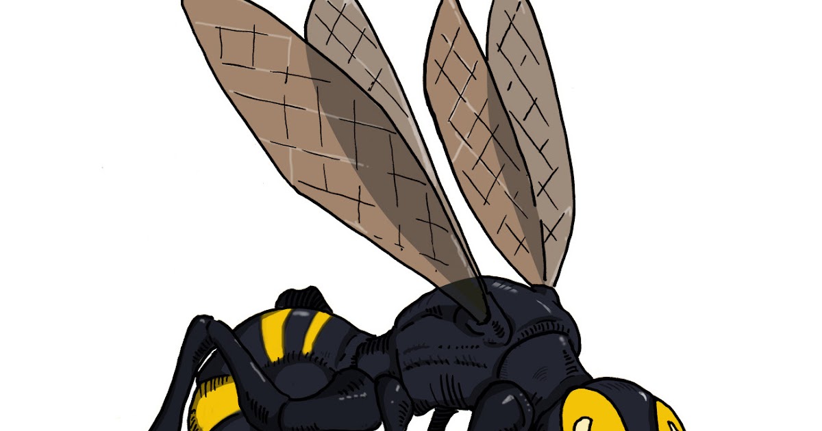 D&D Basic Monsters: Giant Wasp