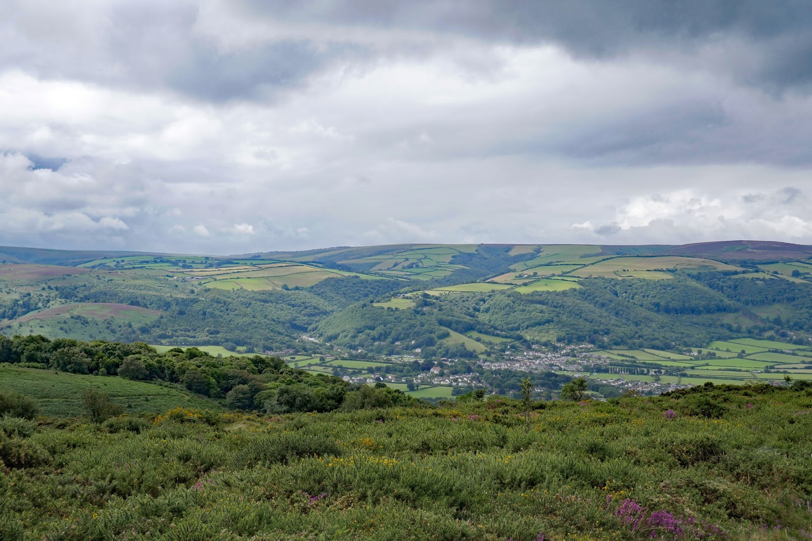 Walking in the country: Porlock Weir to Minehead (South West Coast Path ...