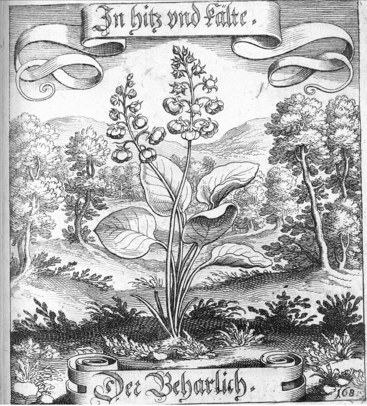 The Depression of '09: A Botanical Emblem Book