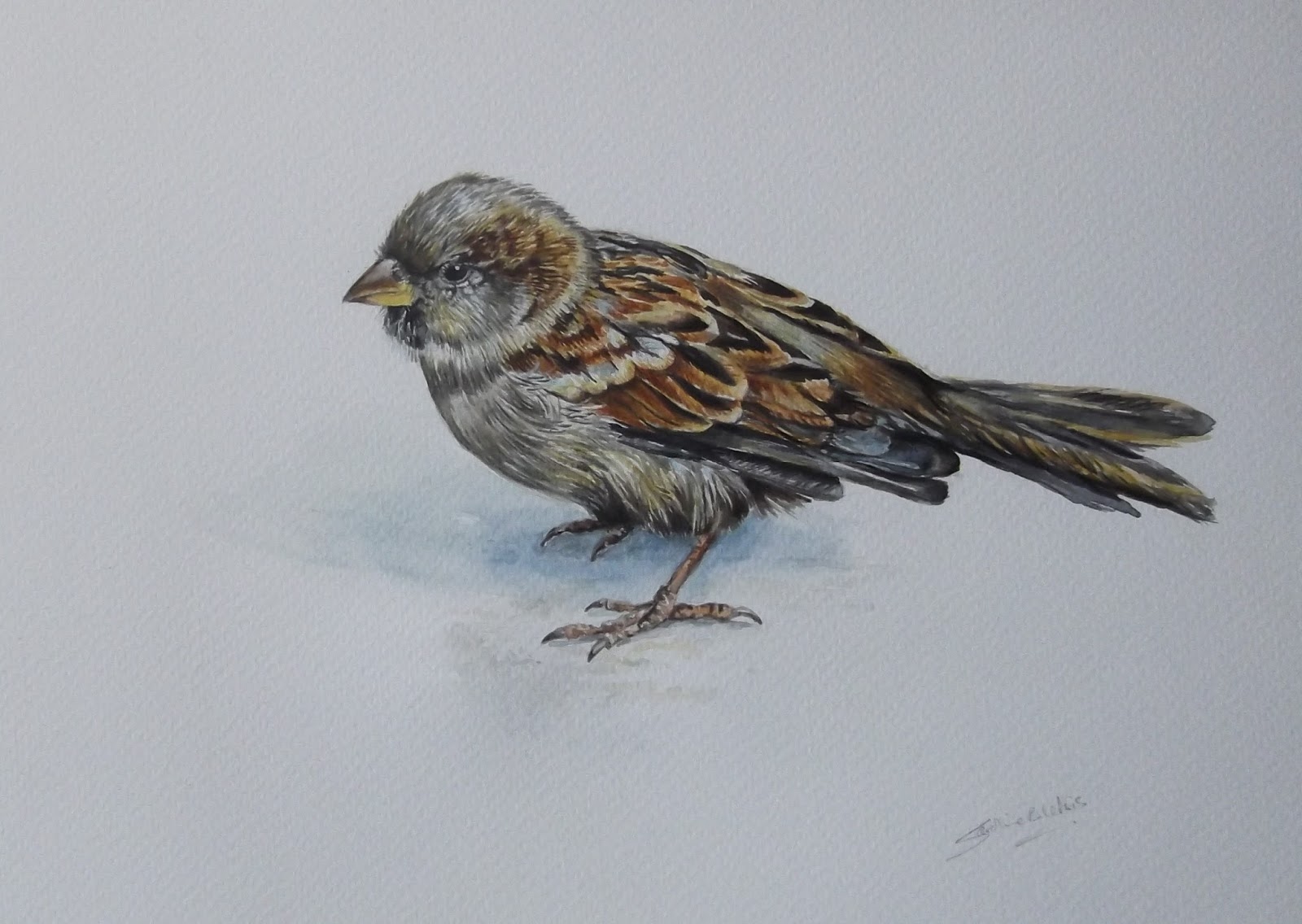 Uniqart: Psychopomp...