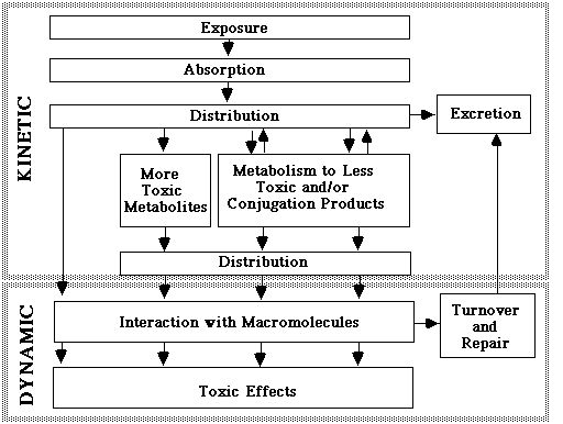 Clinical Chemistry Blog Notes 4F