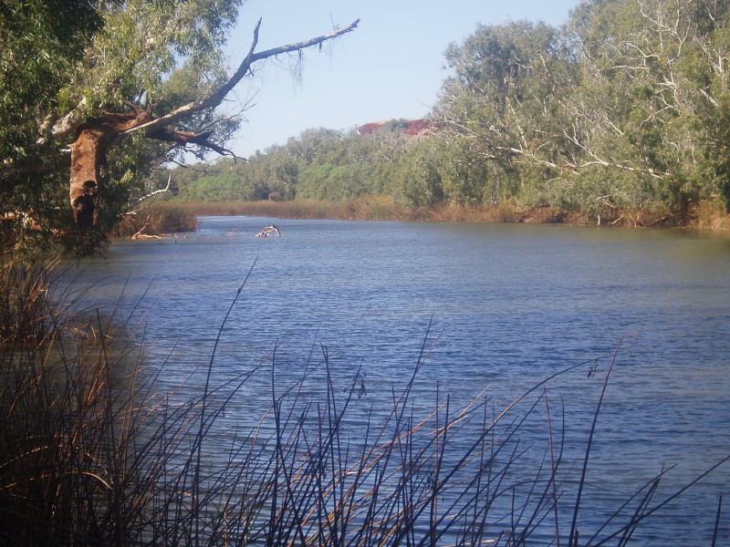 The Travelling Novocastrians: MILLSTREAM CHICHESTER NATIONAL PARK WA