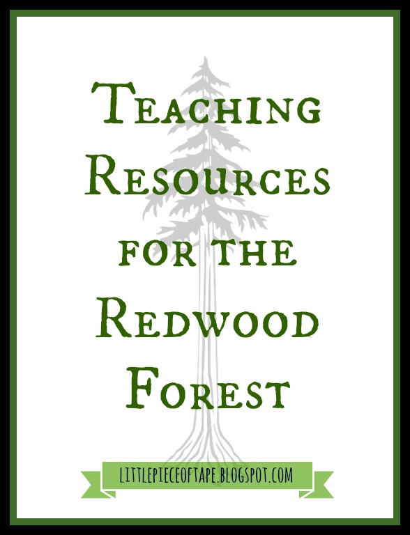 Little Piece of Tape: Teaching Resources for the Redwood Forest
