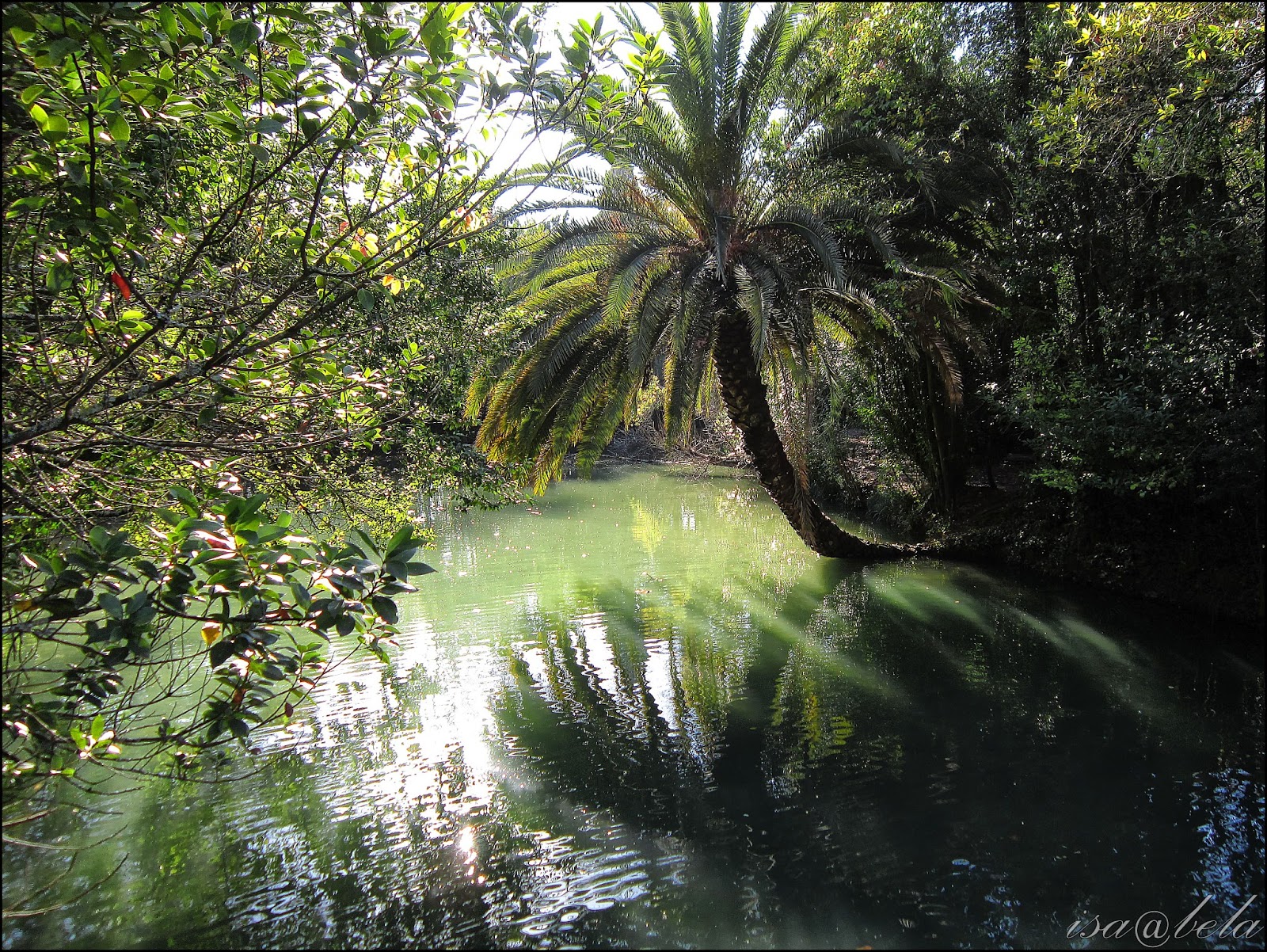UM PIGO DE LUZ: Parque das Termas da Curia / Anadia