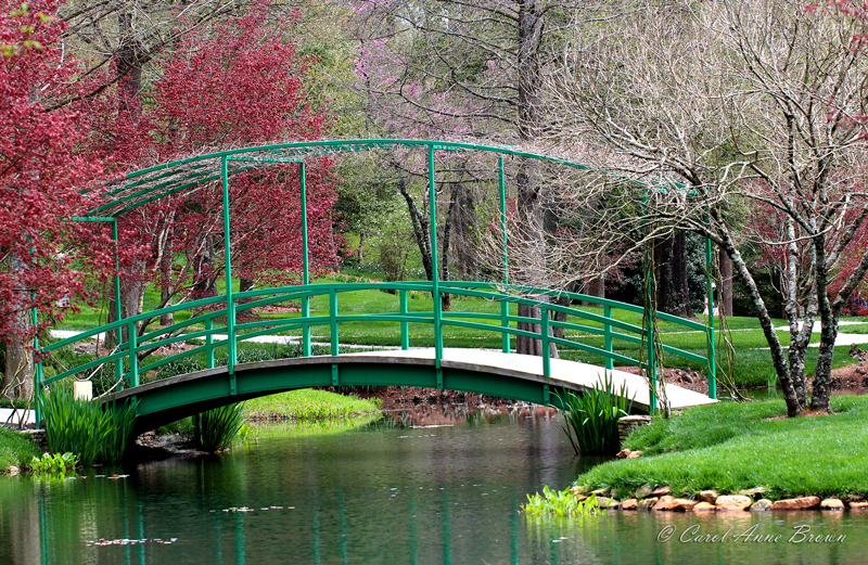 Inspirational Nature