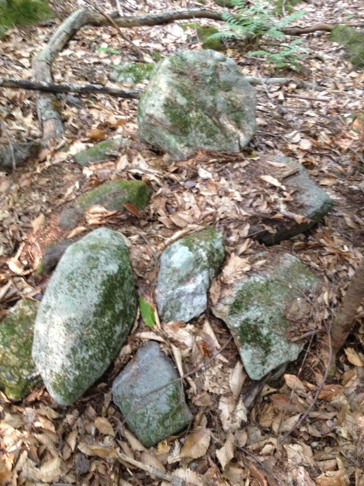 A New England Woodland: Rock Designs