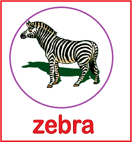 Kindergarten Worksheets: Animal Flashcards - Zebra