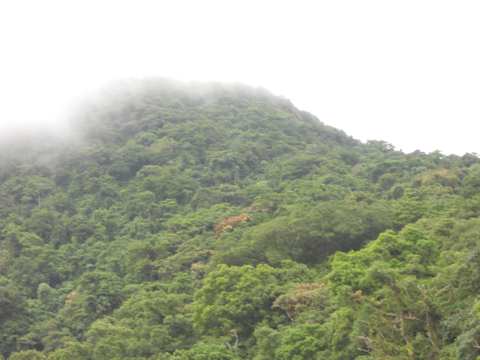 Awesome Bulusan!: To Mount Bulusan: Geothermal Lessons from Mount Kanlaon
