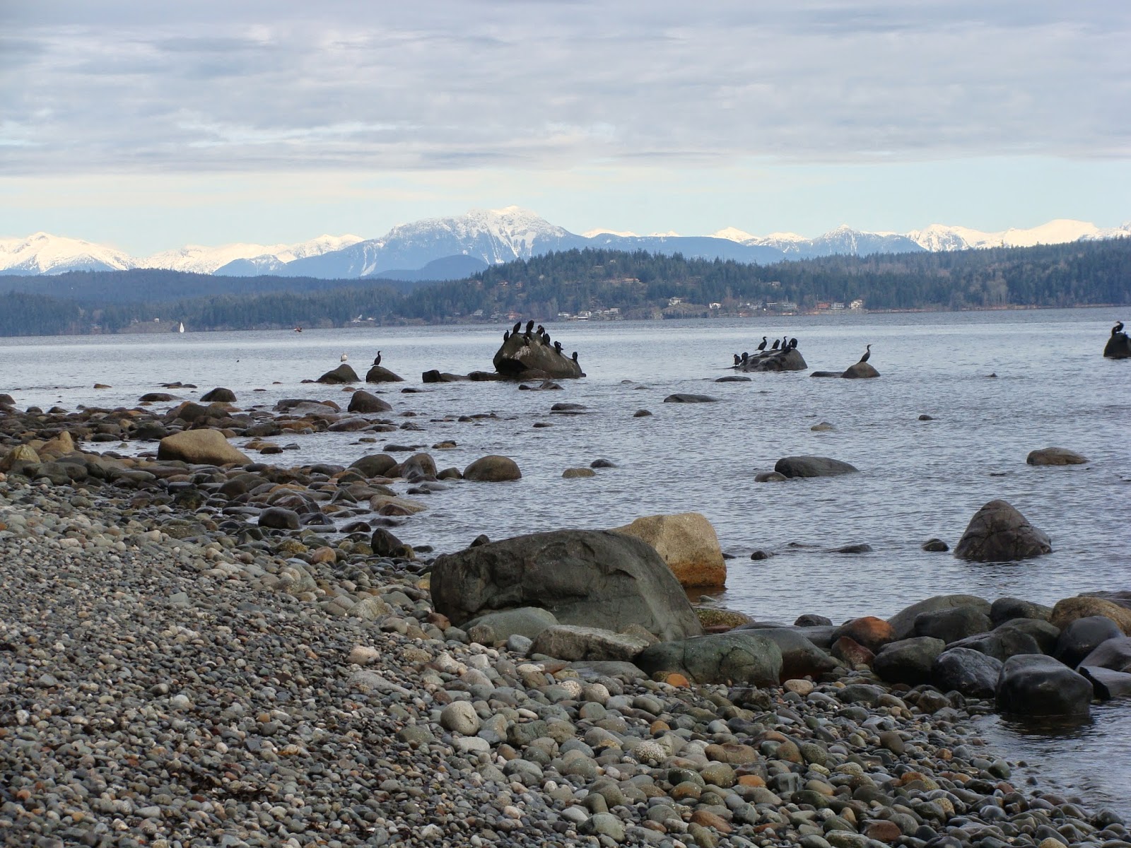 BC Oceanfront: Coastal Beaches