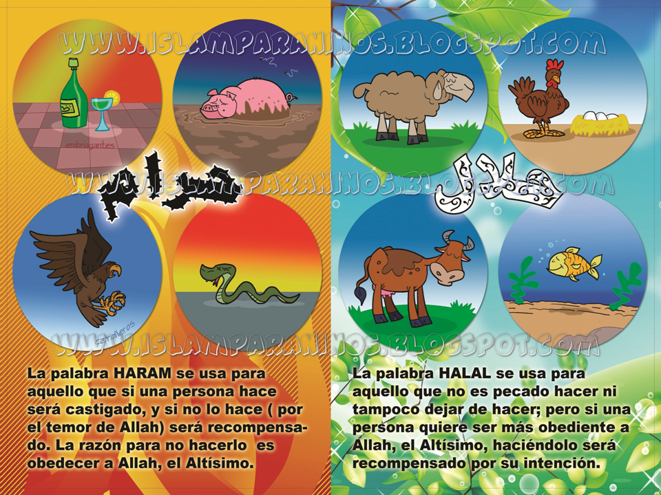 IES RVPN RELIGIÓN: ¿Qué es Halal?