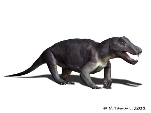 Palaeocritti Blog: Anteosaurus magnificus