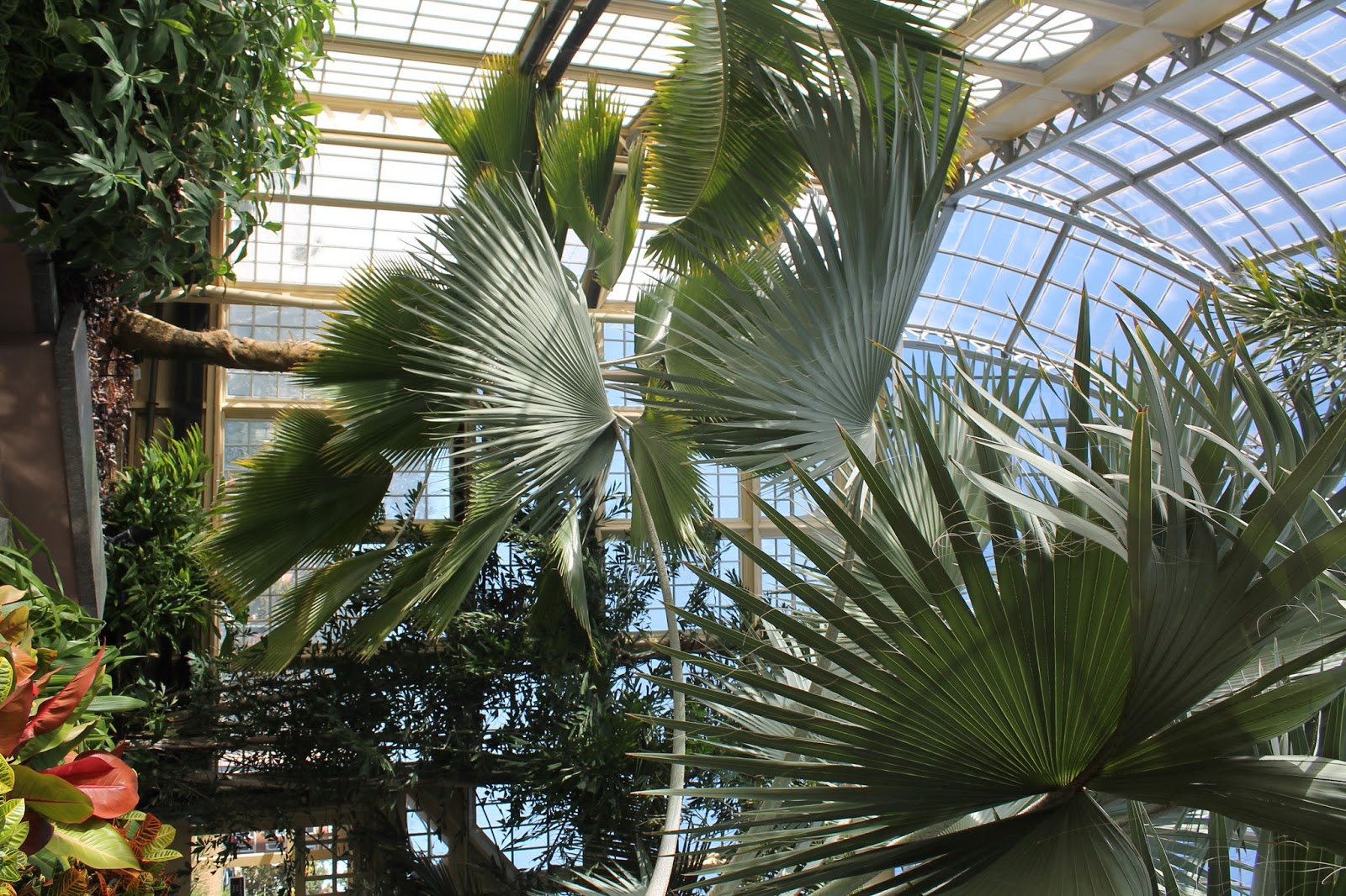 Stone Hill Farm: Rawlings Conservatory & Botanical Gardens