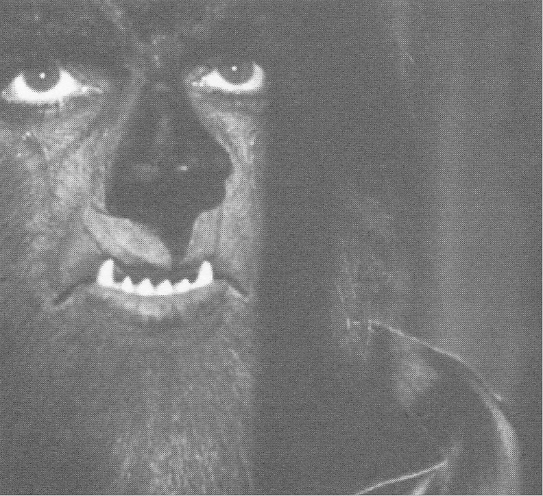 SHADOWS OF THE NIGHT: DARK SHADOWS THE ORIGINAL BEING HUMAN