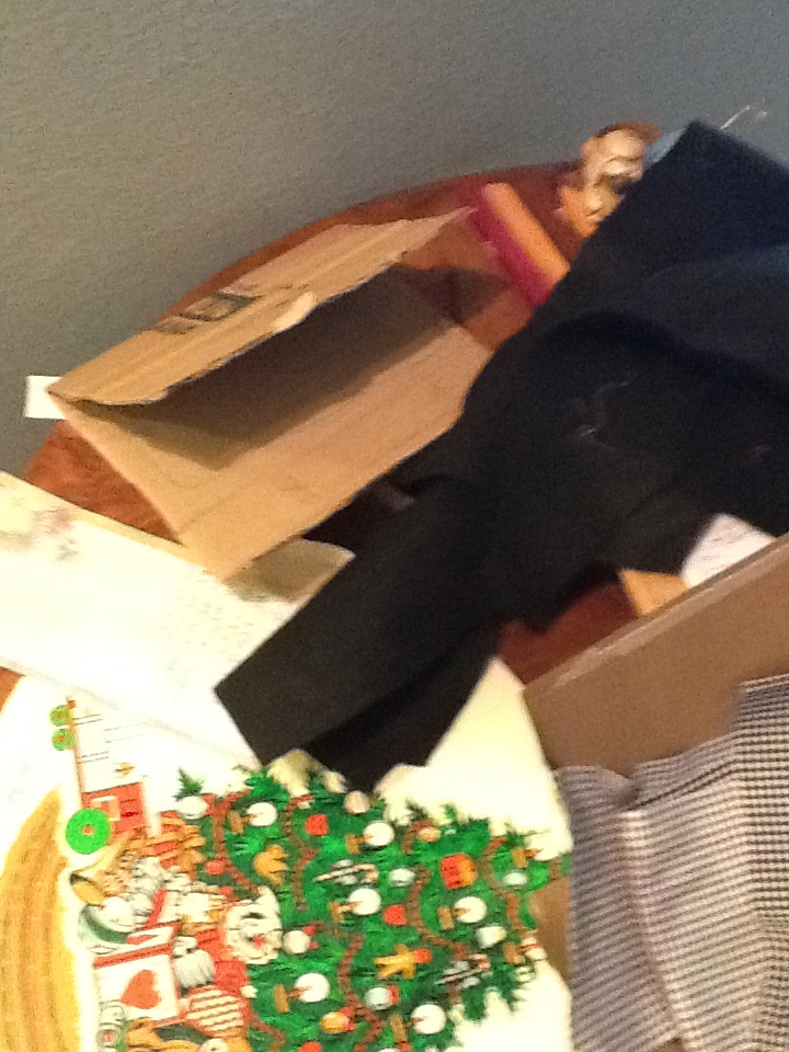 Garden of Eaton: DIY Ipad case: functional