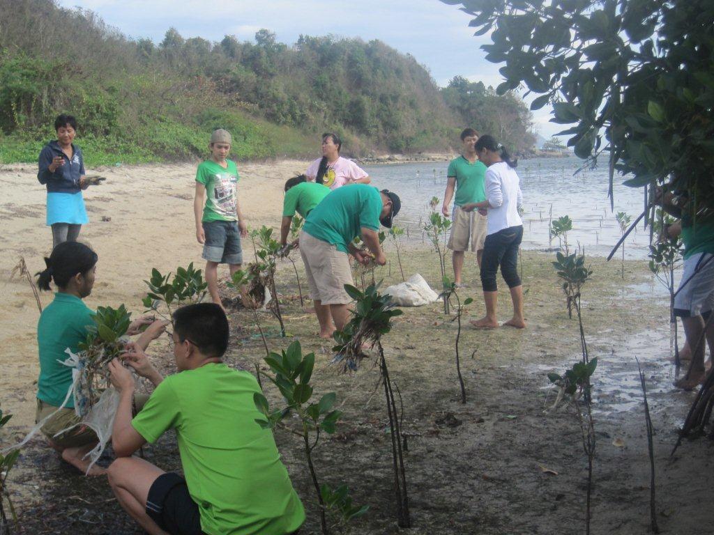 Philippine Responsible Tours: Calatagan Mangrove Tree Planting