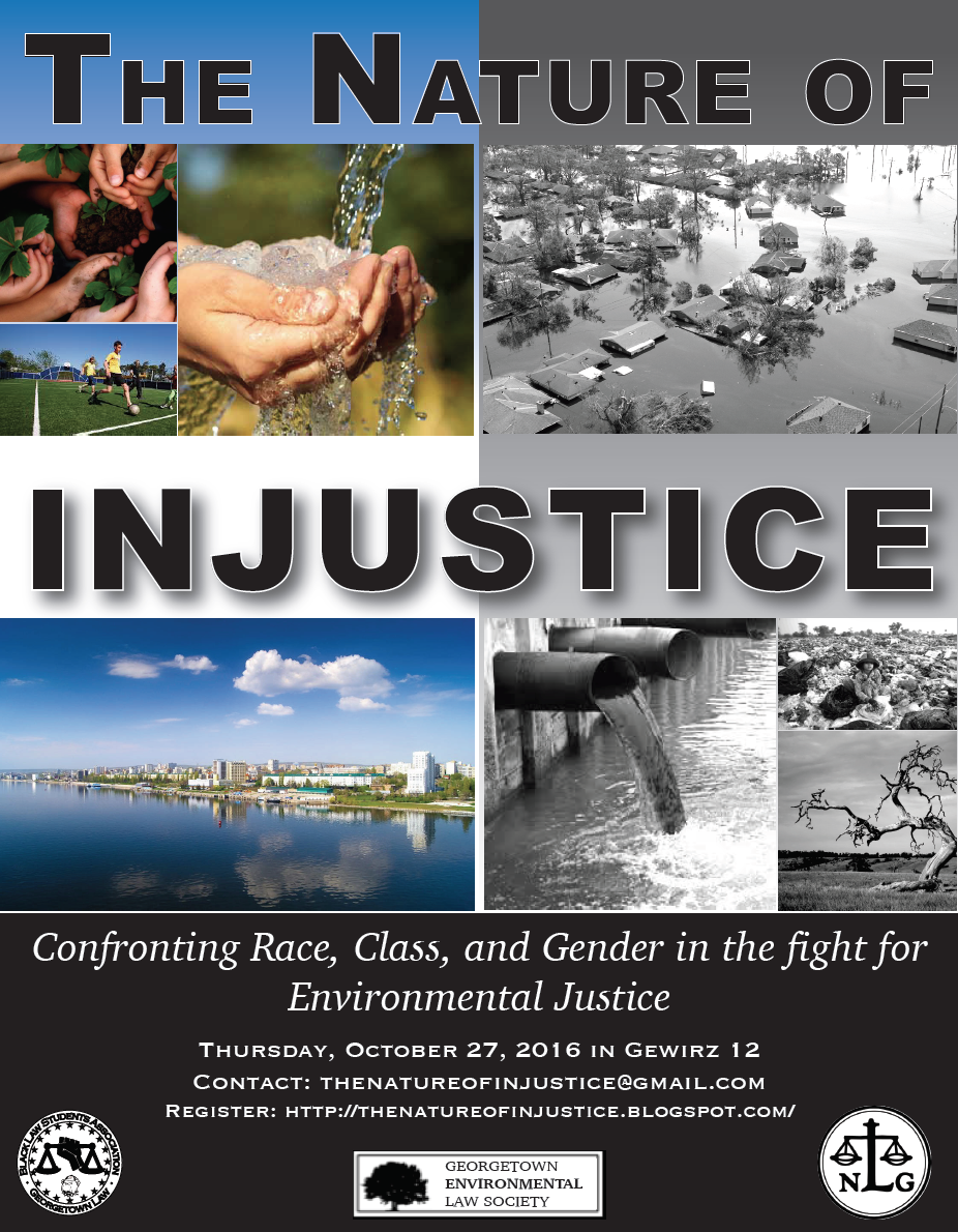 The Nature of Injustice : Confronting Race, Class, and Gender in the ...