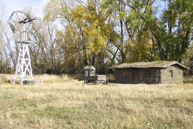 Heroes, Heroines, and History: The Timber Culture Act of 1873