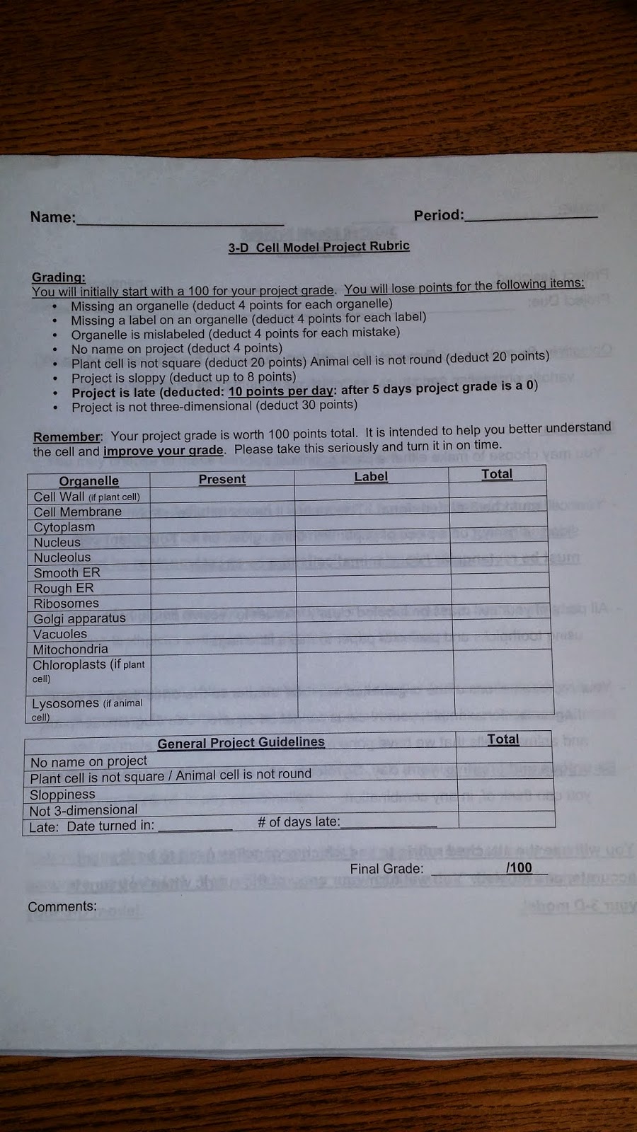 3d Cell Model Project Rubric