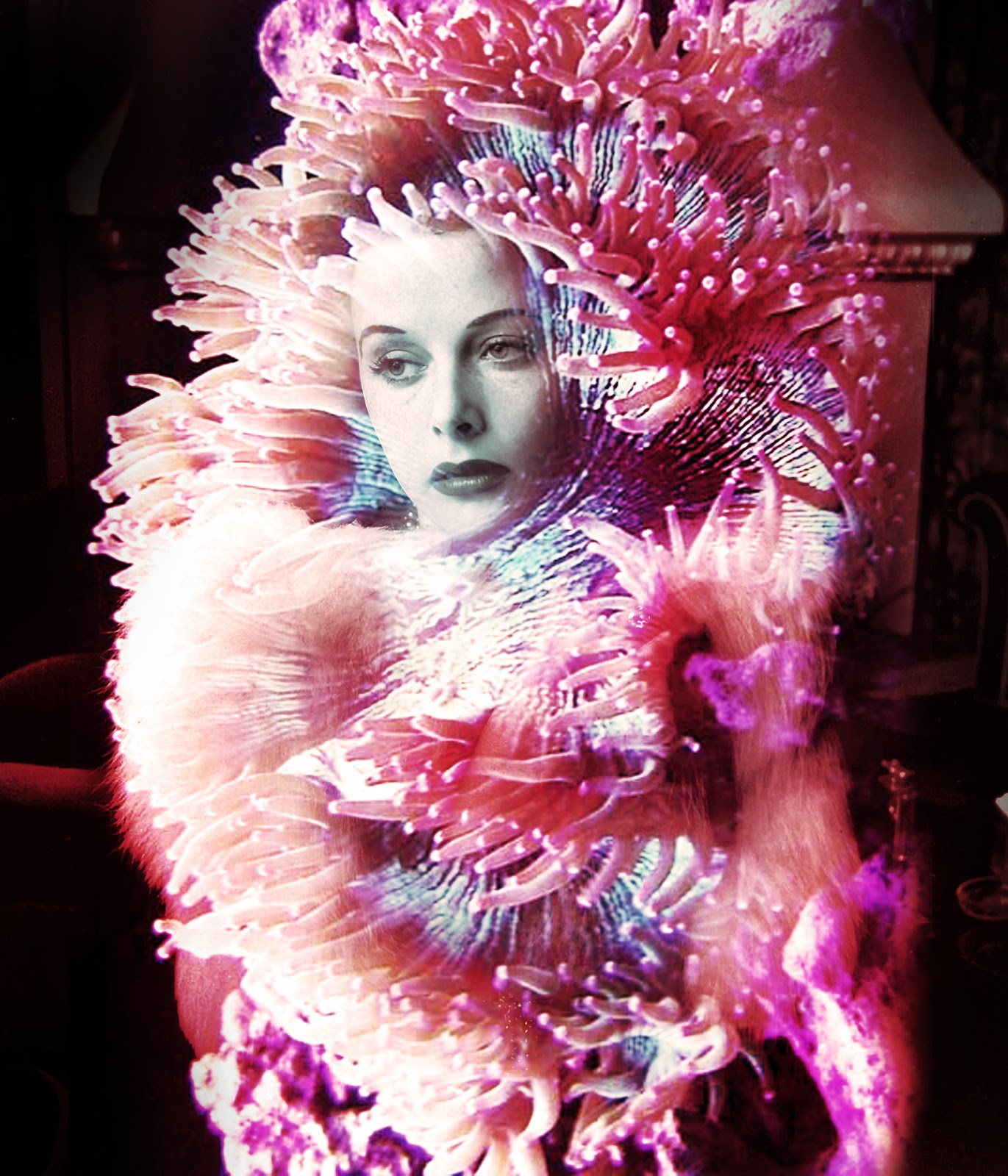 PETRA BRNARDIĆ: POSJEKOTINE: travnja 2016