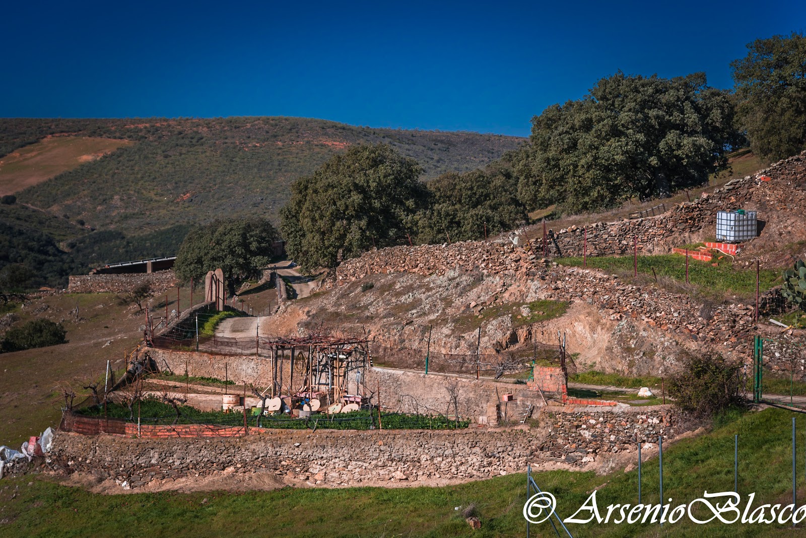 Villarta de los Montes: Detalles de Villarta