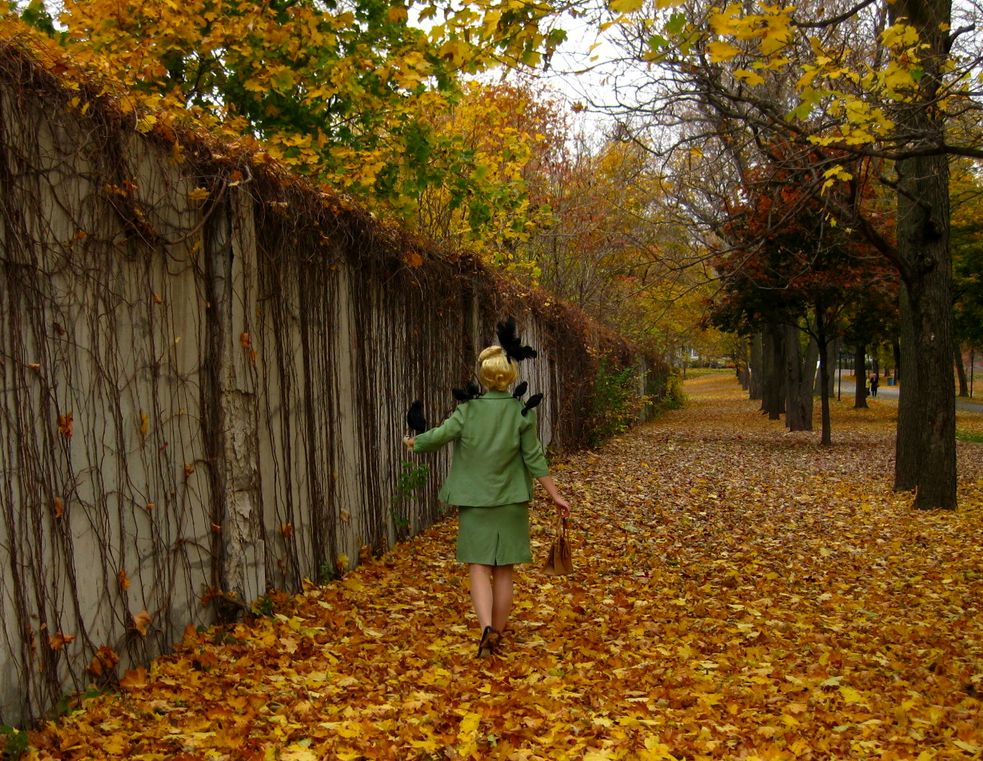 Tippi zeitgeist, part II!