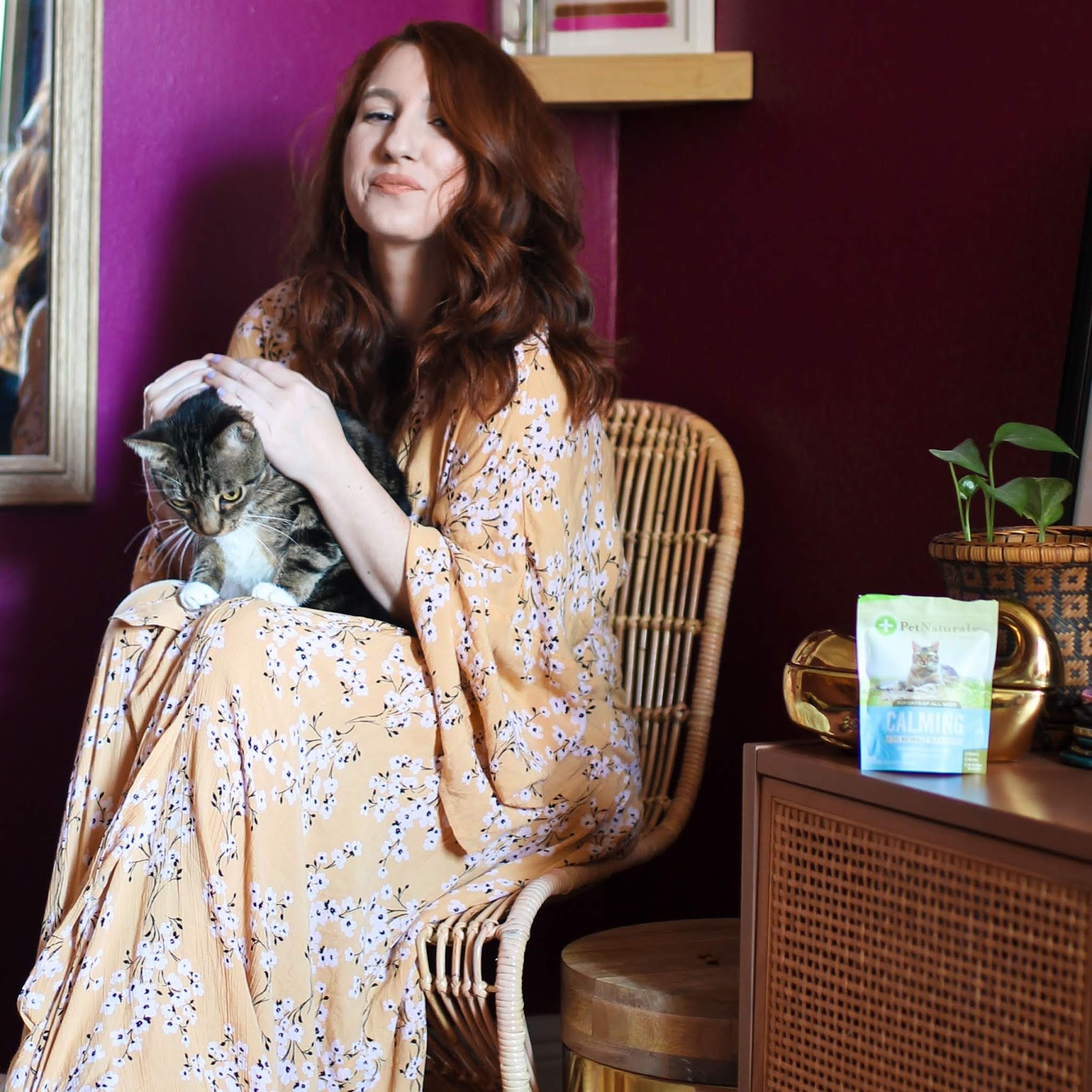 Yep, I'm a Cat Lady and I'm sharing My Secret Weapon to Keeping the ...