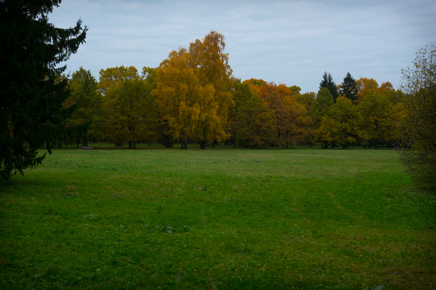 Hello Talalay: The Golden Time Of Fall In Estonia