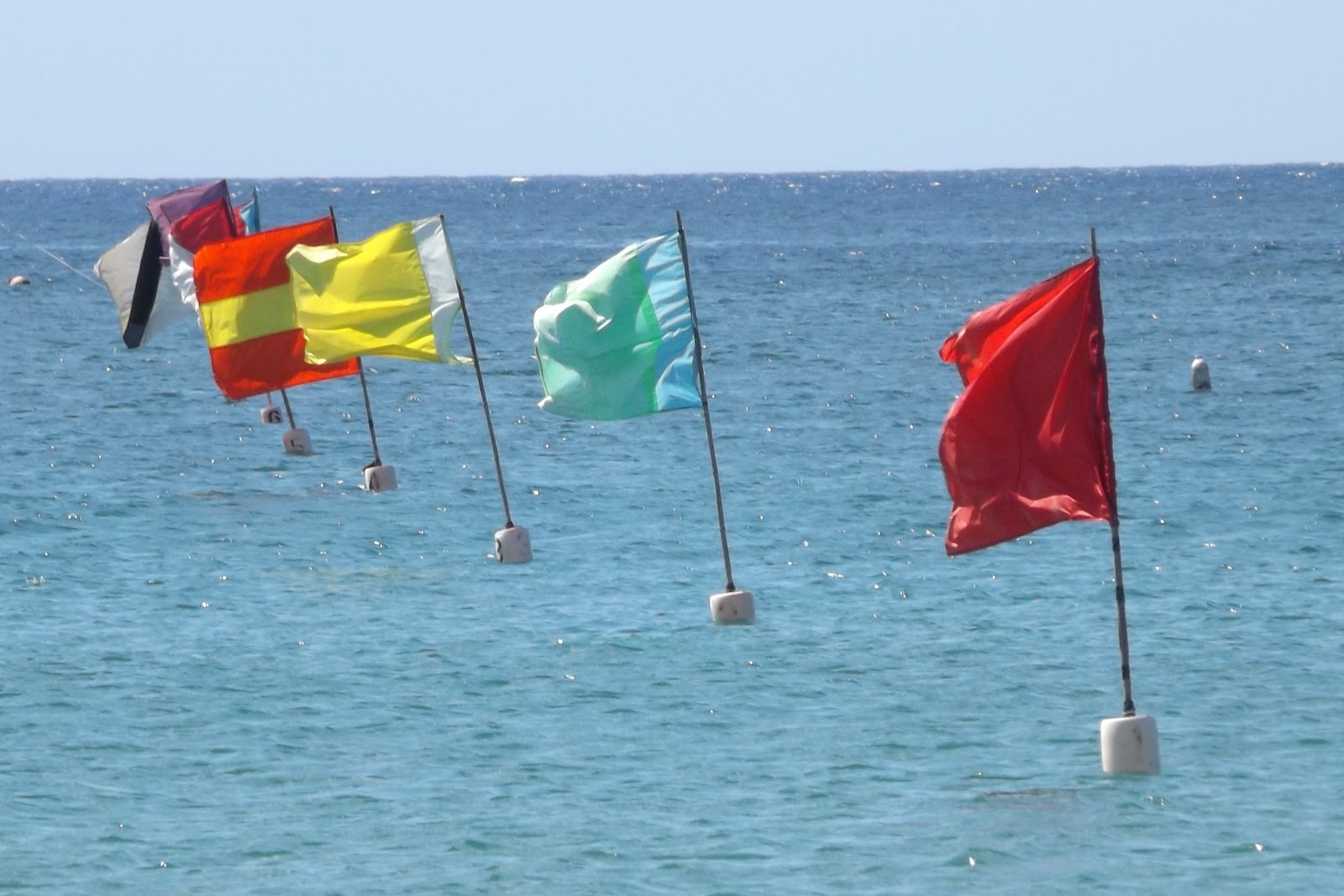 Donnelly Oceantics: OUTRIGGER CANOE RACING – HOW IT WORKS