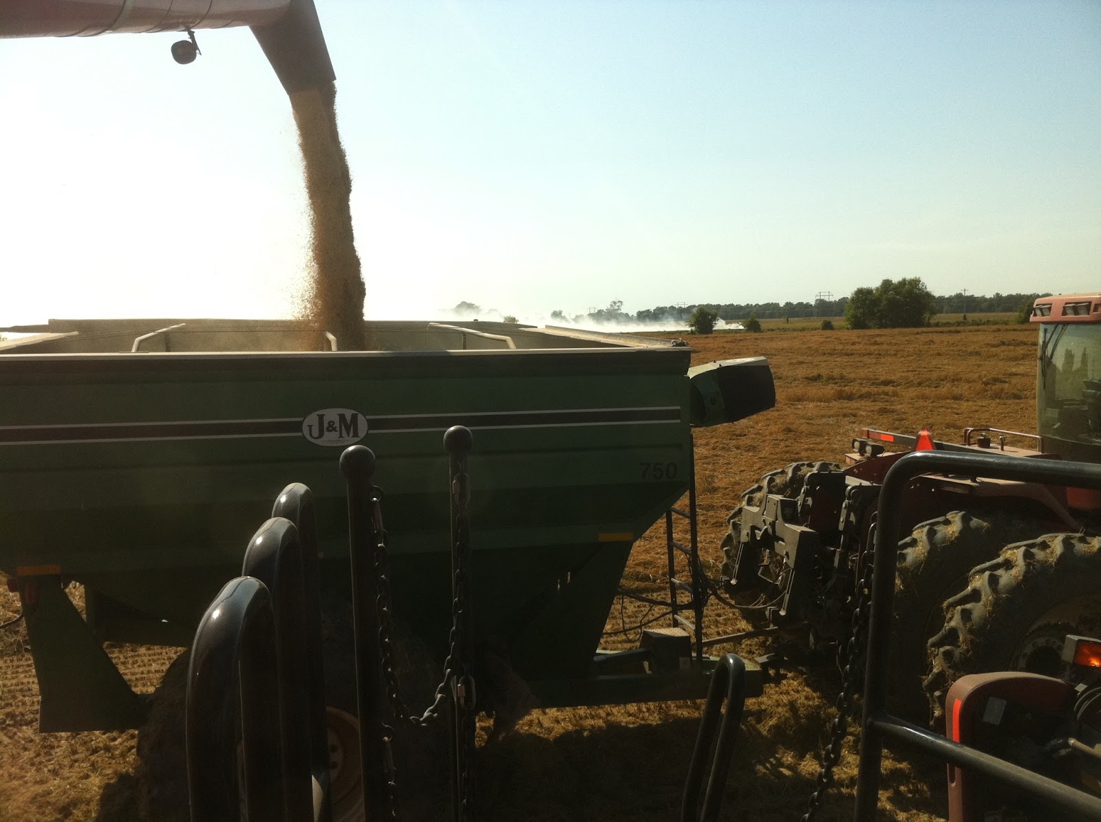 Levees in our backyard | Levees and Lace