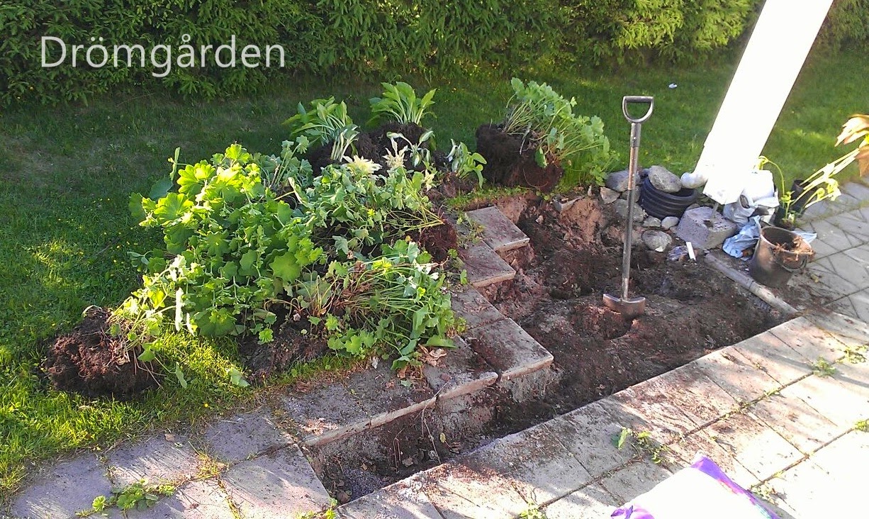 Drömgården: Restaurera blomrabatten in på natten...