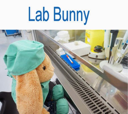 Medical Laboratory and Biomedical Science: Lab Bunny