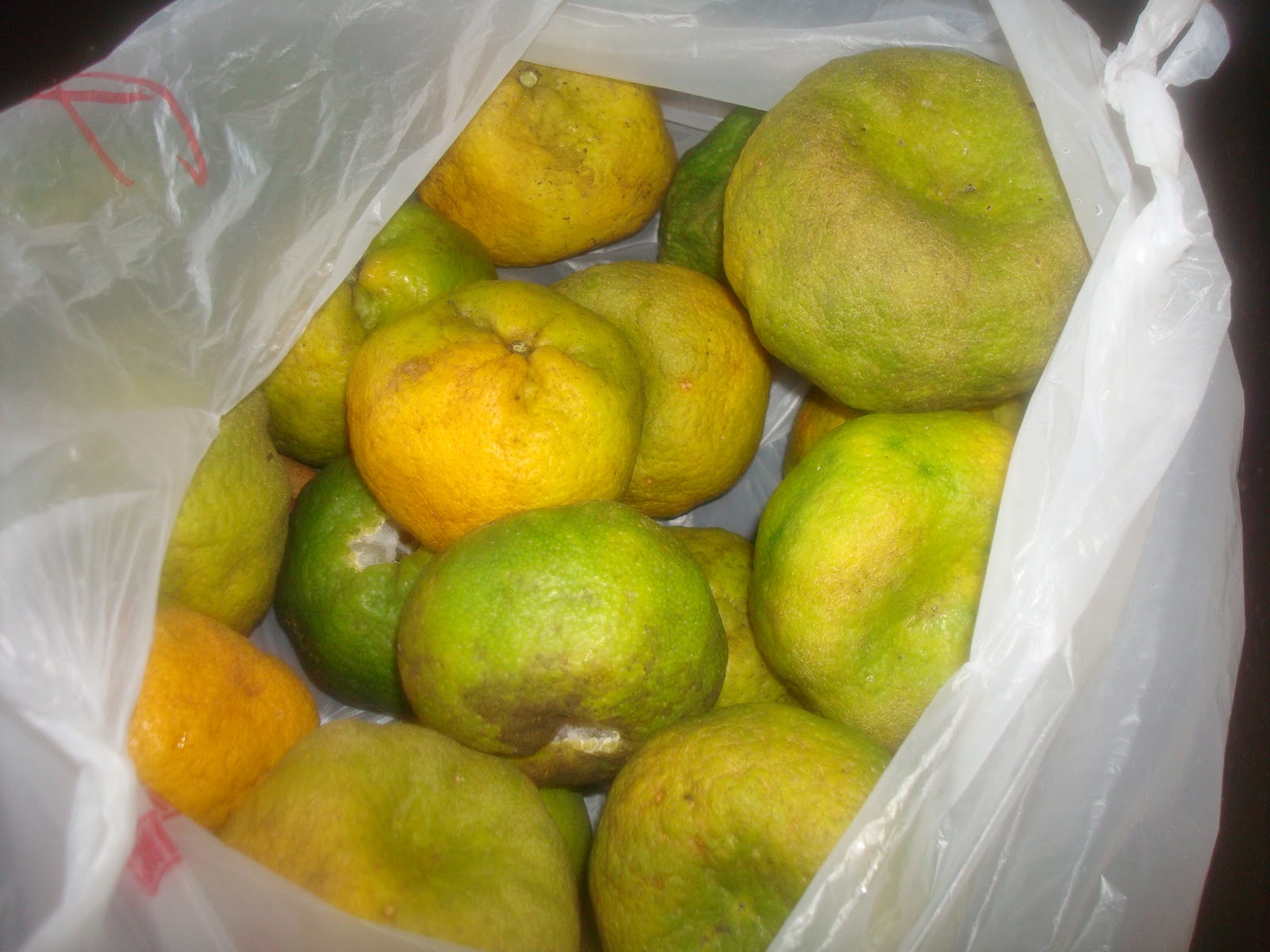 paleric: IT'S LALANGHITA TIME