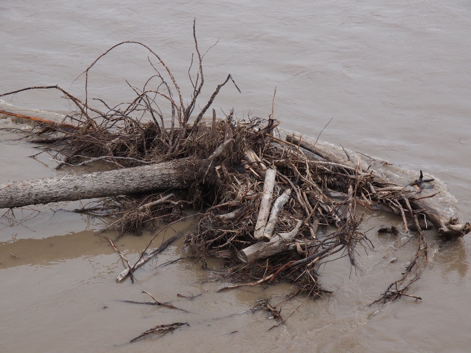 Alberta West Photos: Red Deer River oil spill, June 8