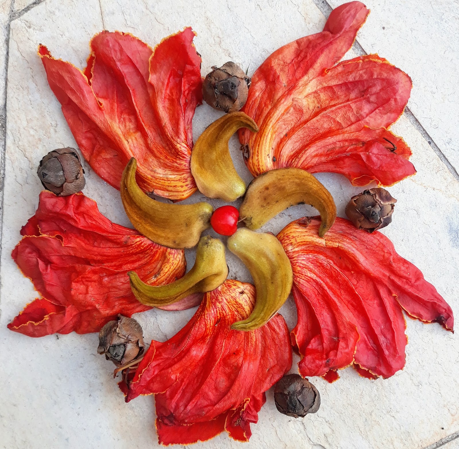 O'que é Arte Efemera - FDPLEARN