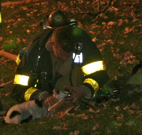 Population: 485: Chapter 10