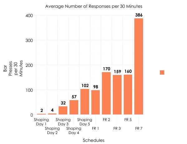 Psychology of Learning: Little Miss Muffin