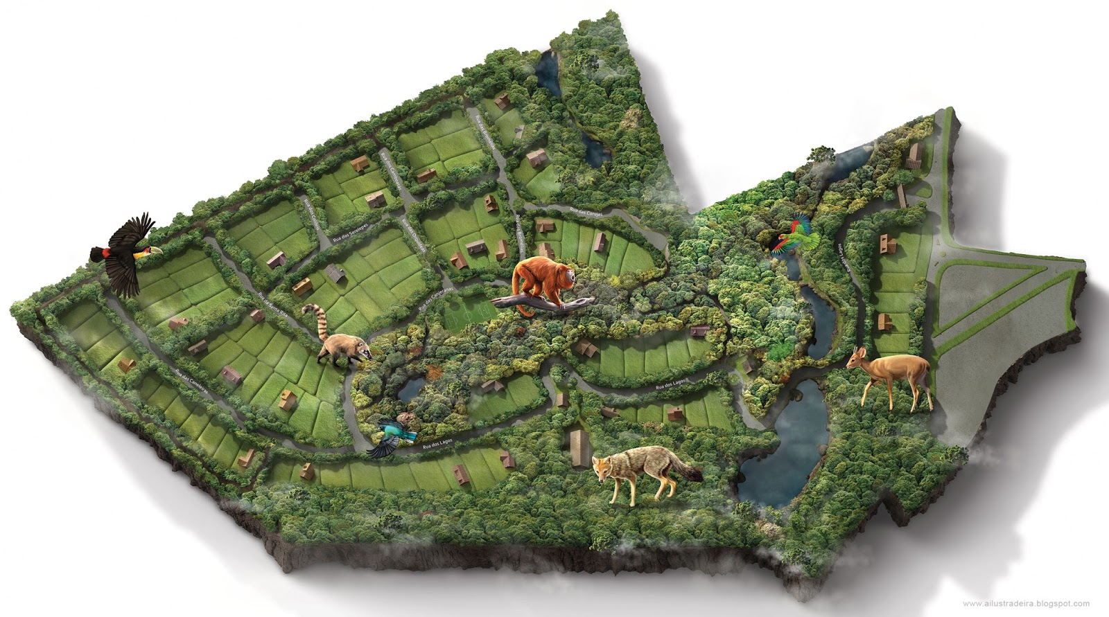 A Ilustradeira: Mapa "O Bosque"