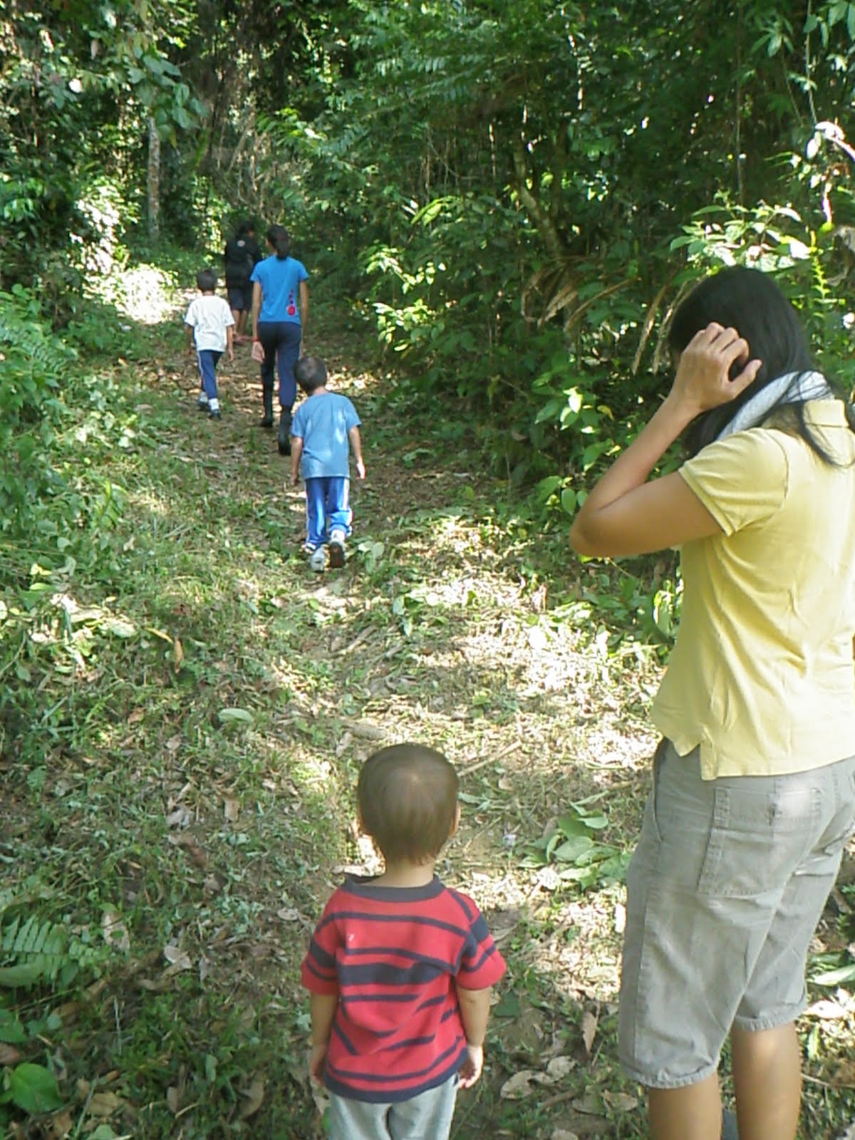Roots: Rafflesia in Ulu Geroh, Gopeng 9thFeb2011