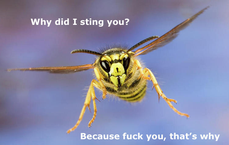 eVille Times: September 2015