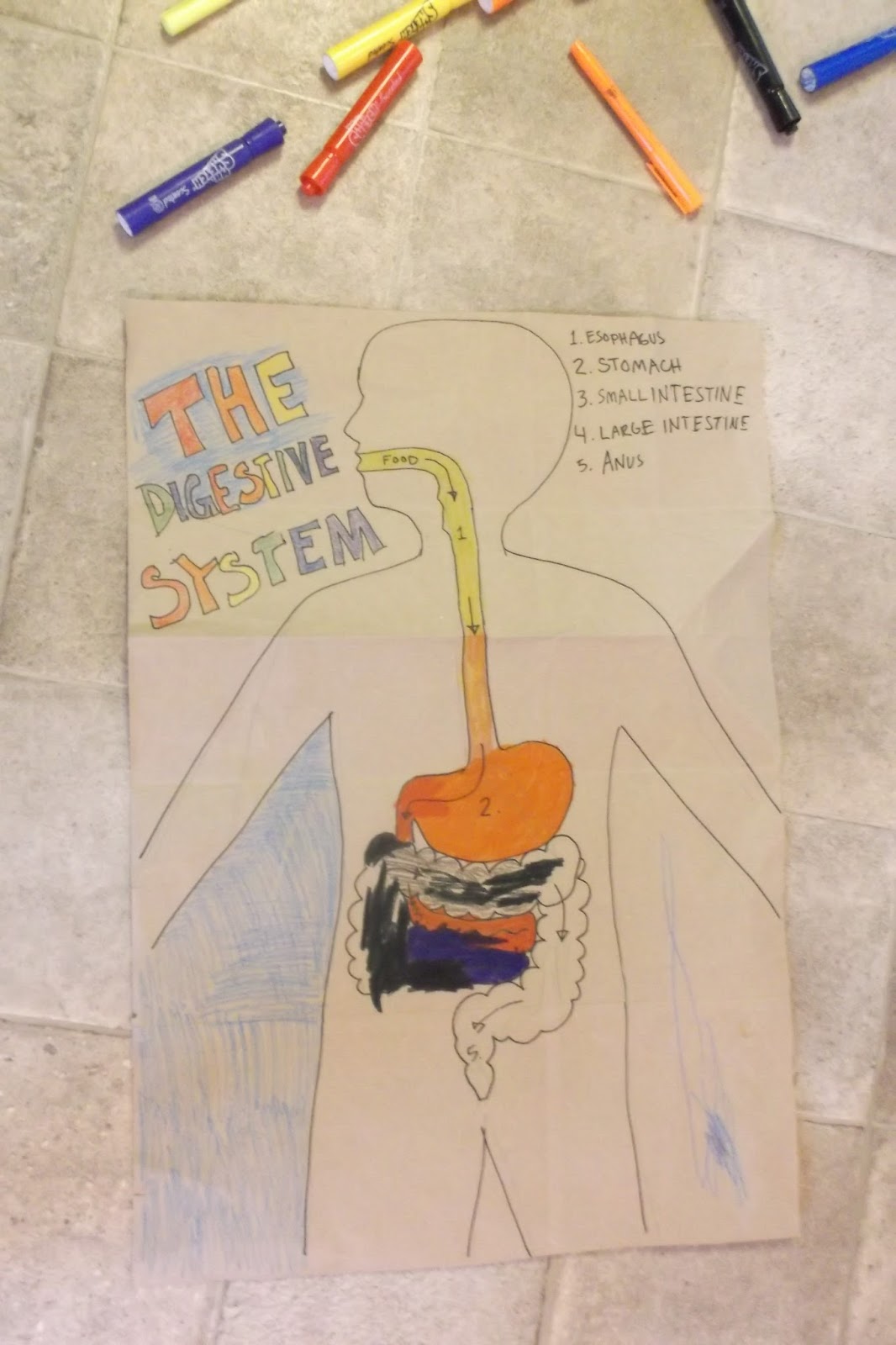 Lighthouse Family Schoolin': The Digestive System ~Part One!