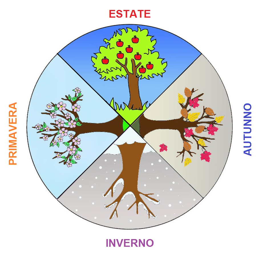 insieme: storia: il tempo ciclico