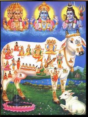 Gaumata(cow)- Symbol of Hinduism, Gauseva-Gopal Seva(Lord Krishna ...