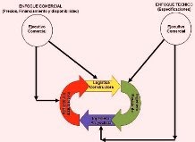 Ciencia de la Economia: Clientes y como Llegar a Ellos