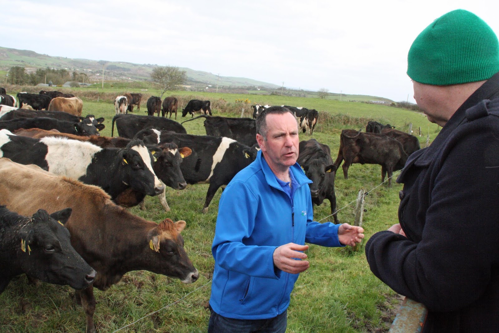 See Where Your Food Comes From With West Cork Farm Tours