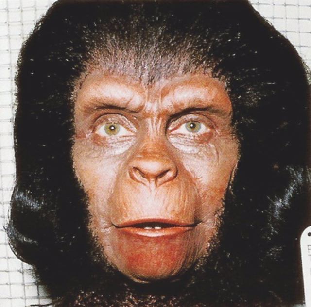 30 Behind the Scenes Photos of the Costume Tests From 'Planet of the ...