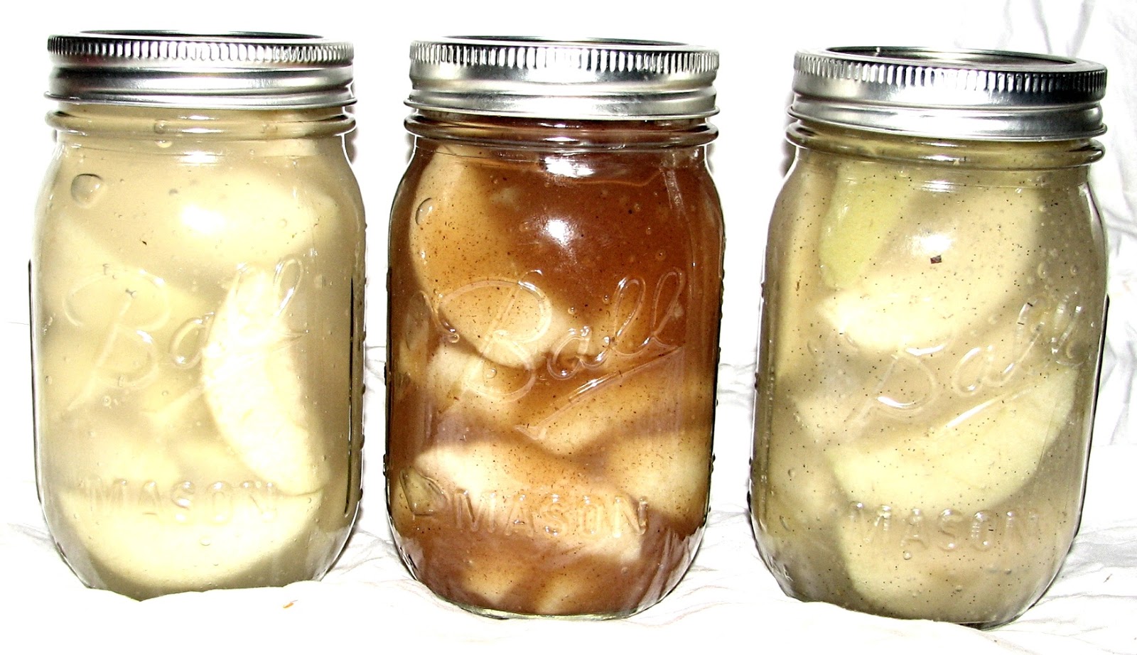 FOOD PRESERVING: FRUIT PIE FILLING RECIPES