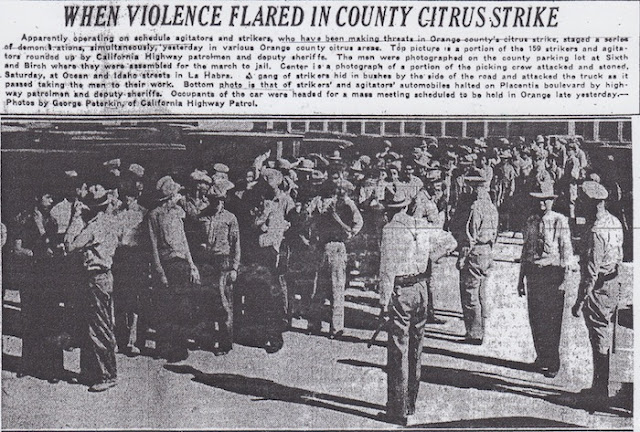 Jesse's Blog: Blood Orange: The Orange County Citrus Strike Of 1936